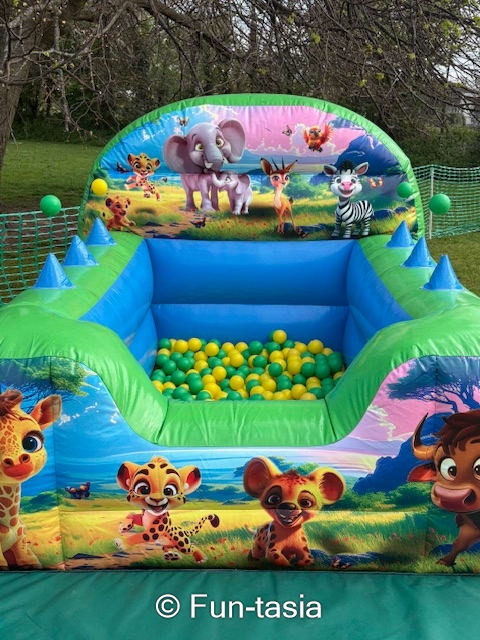 Jungle Air Juggler Ball Pool - Shows & Events, Bouncy Castle Hire ...